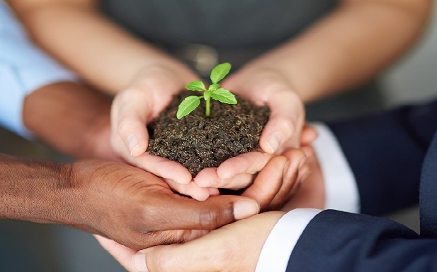 Empowering Your Team to Grow Your Business
